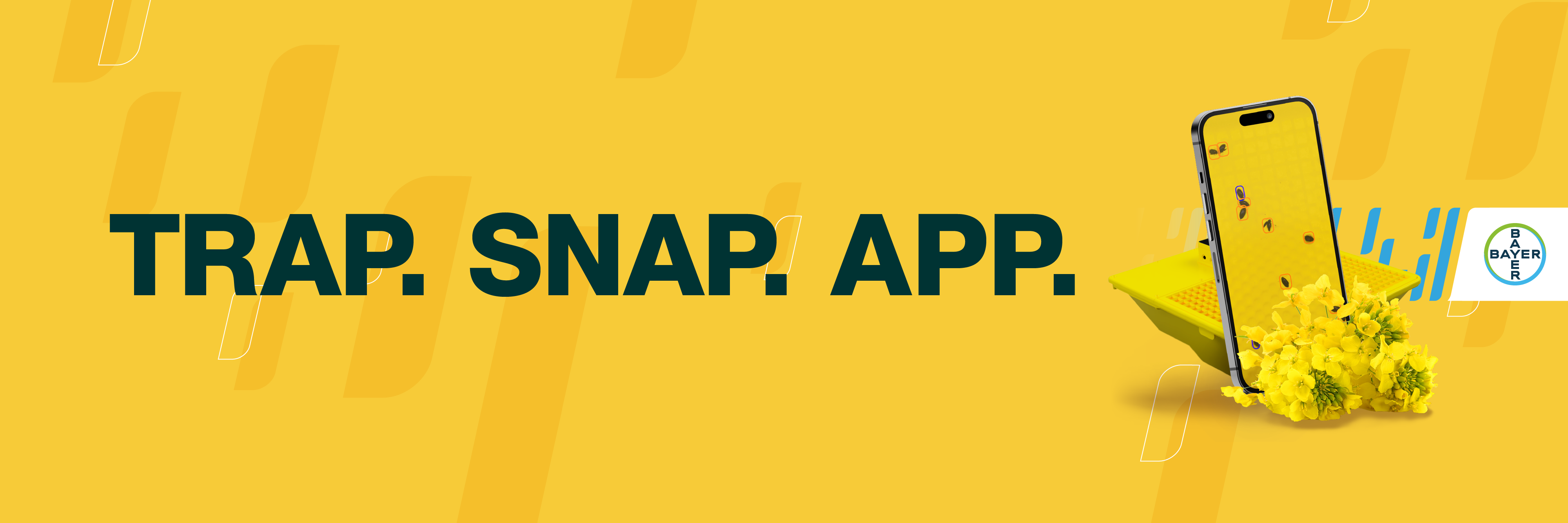 MagicTrap | United Oilseeds | Oilseed Rape